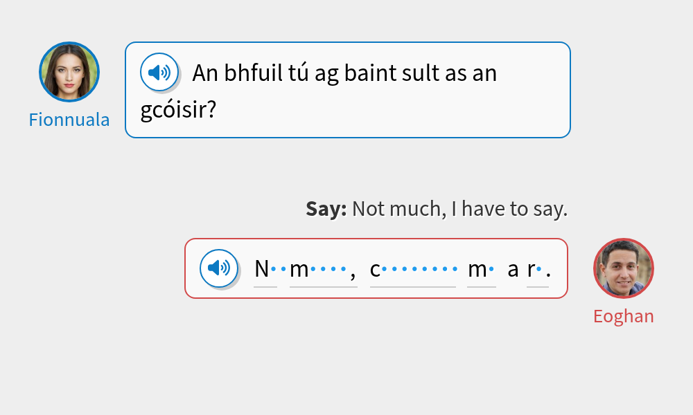 Native Dialogs | Irish | An bhfuil tú ag baint sult as an gcóisir?